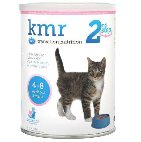 Best 10 Probiotic Kitten Milk for Weaning 2025