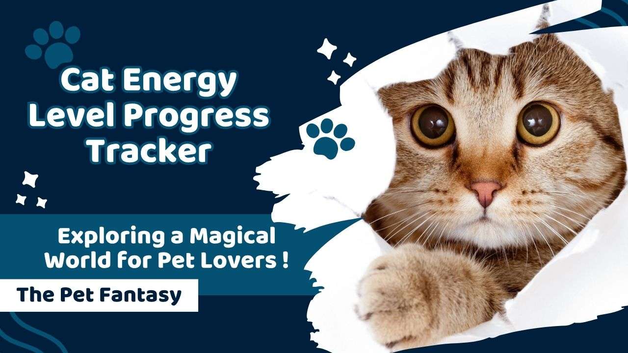 Cat Energy Level Progress Tracker for Cats