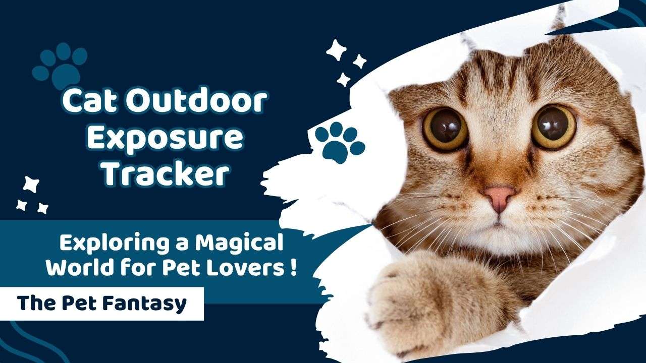 Cat Outdoor Exposure Tracker | Pet Safety