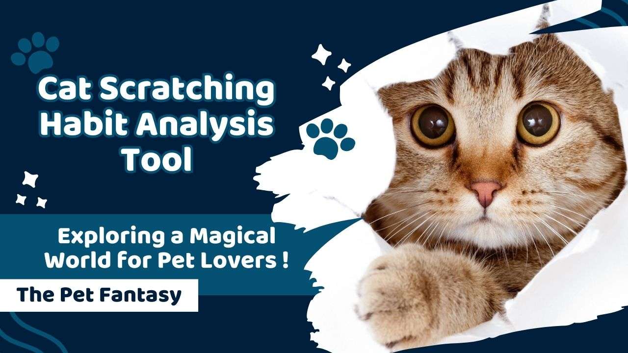 Cat Scratching Habit Analysis Tool: Manage Cat Scratching