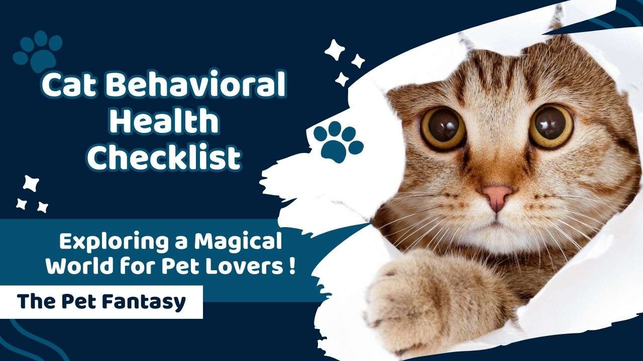 Cat Behavioral Health Checklist Tool