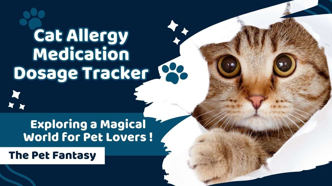 Cat Allergy Medication Dosage Tracker Tool