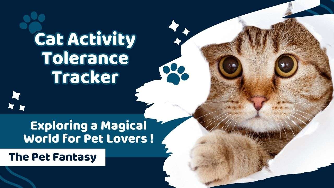 Cat Activity Tolerance Tracker for Pet Health