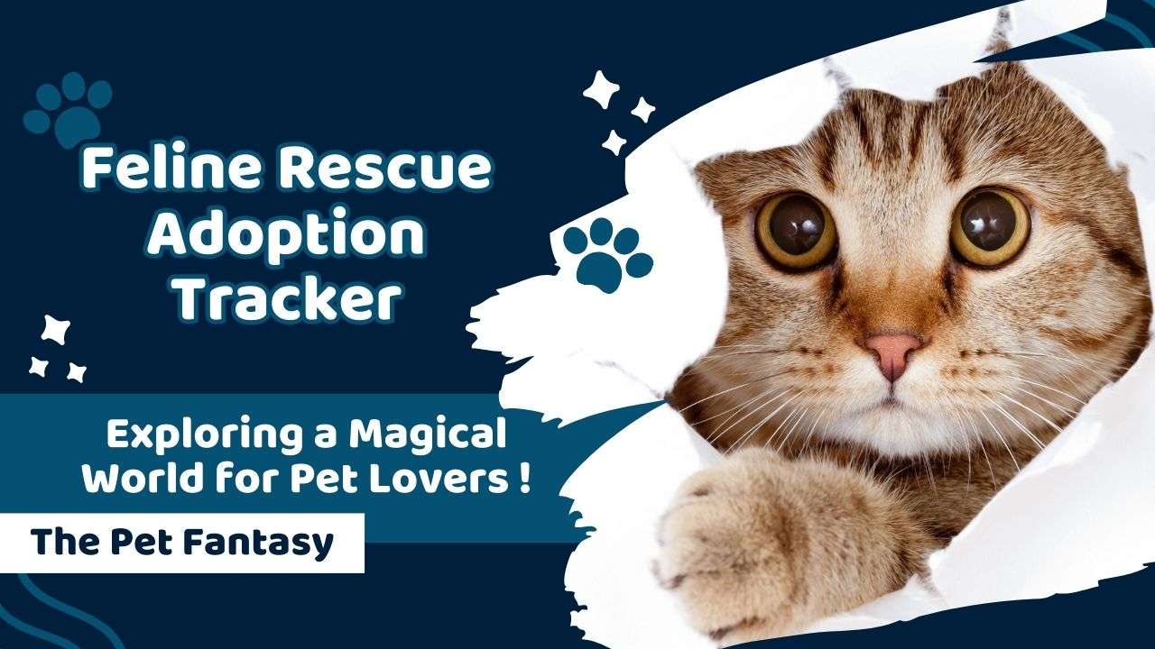 Feline Rescue Adoption Tracker: Manage Cat Adoptions