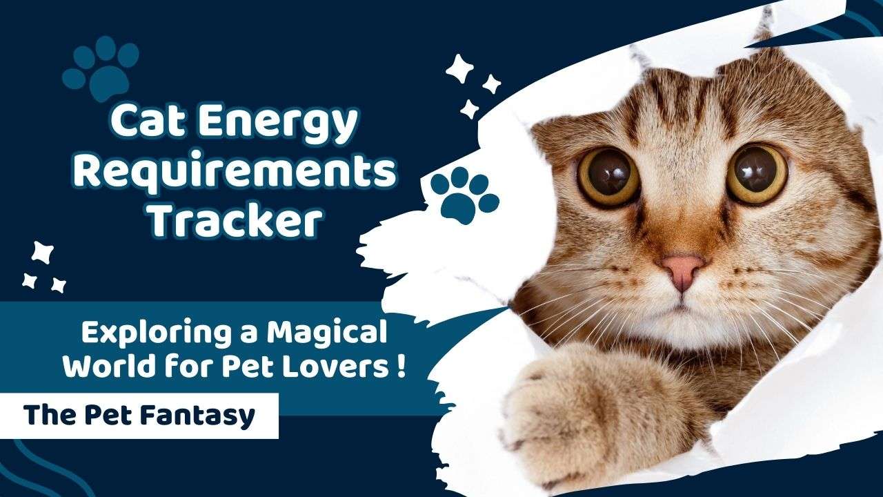 Cat Energy Requirements Tracker: Pet Nutrition