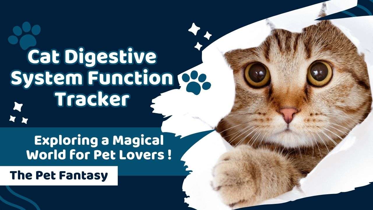 Cat Digestive System Function Tracker for Cats
