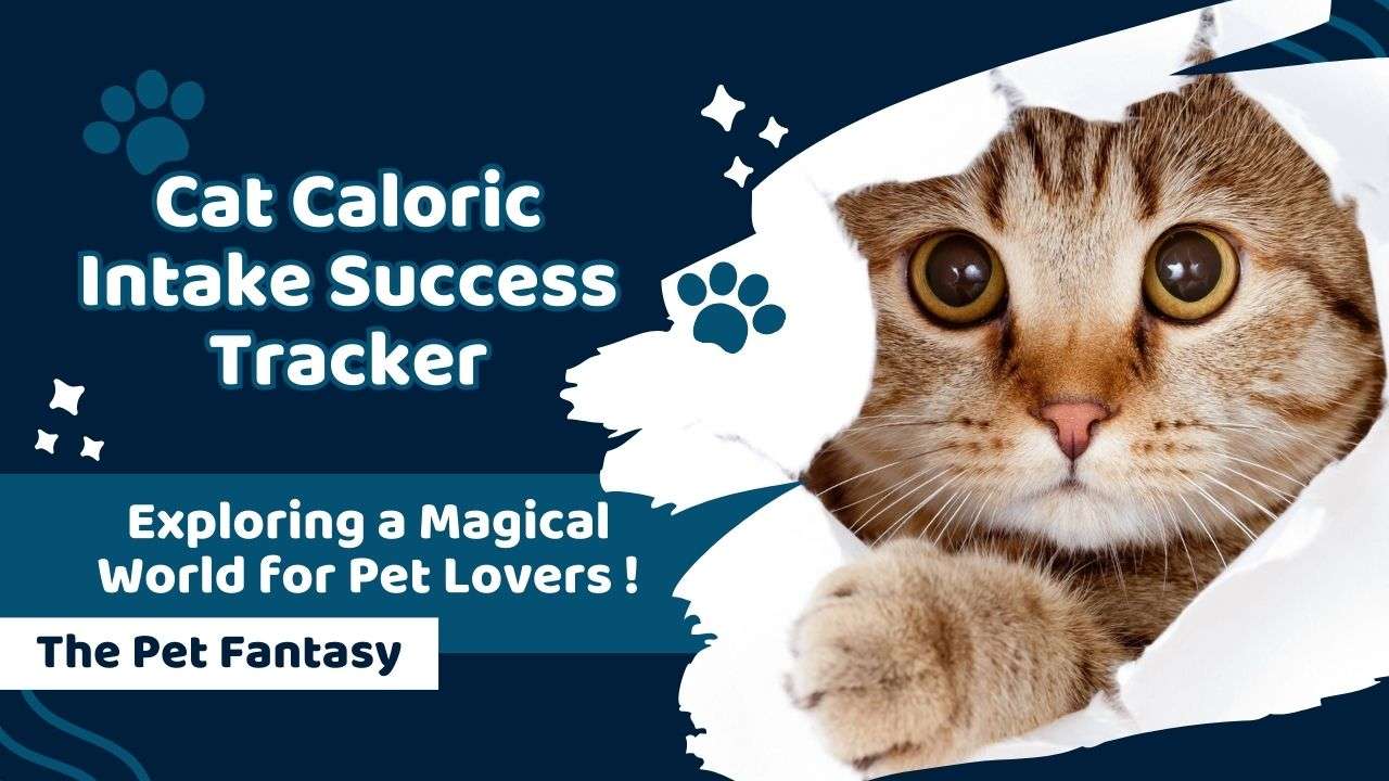 Cat Caloric Intake Success Tracker for Cats