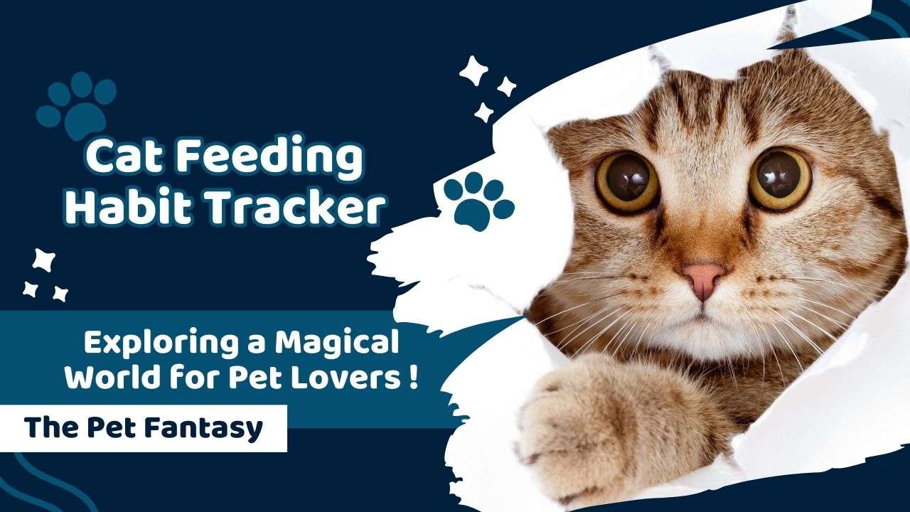 Cat Feeding Habit Tracker for Pet Nutrition