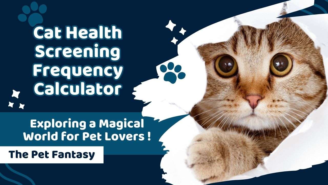 Cat Health Screening Frequency Calculator for Cats