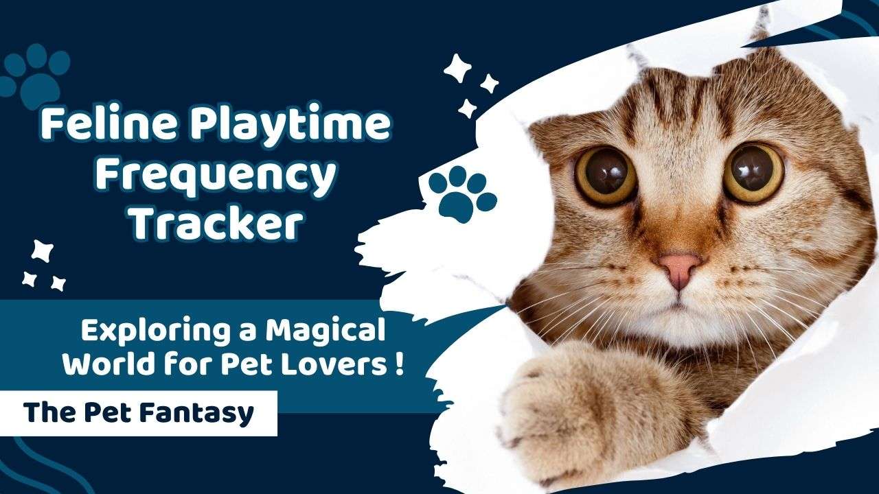 Feline Playtime Frequency Tracker for Cats