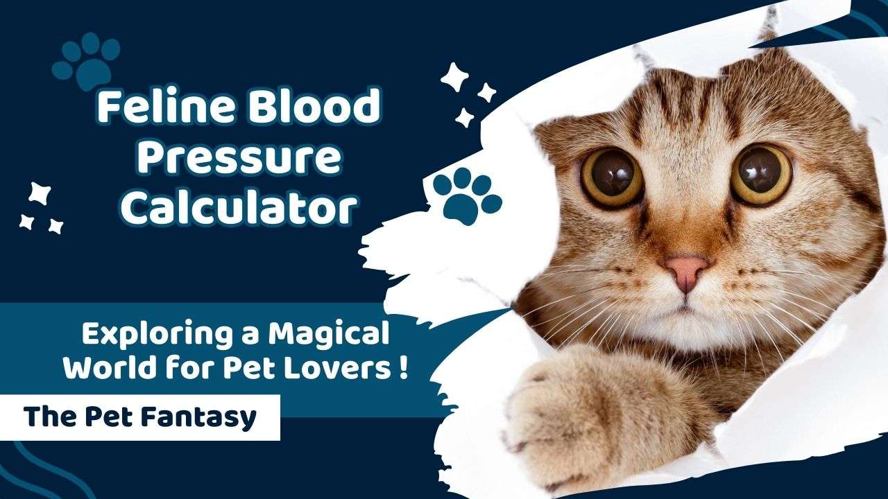 Feline Blood Pressure Calculator for Cats | Pet Health