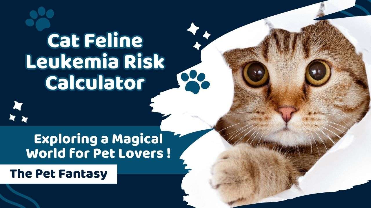 Cat Feline Leukemia Risk Calculator: Protect Your Cat